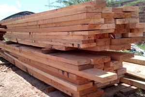 Industries of Woods and related – Santa Anita » PRODUCTS – NATIONAL MARKET